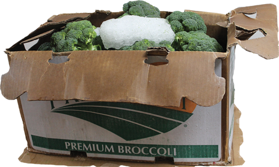 Durable, Sustainable Corrugated Plastic Boxes | Perfect for Produce ...